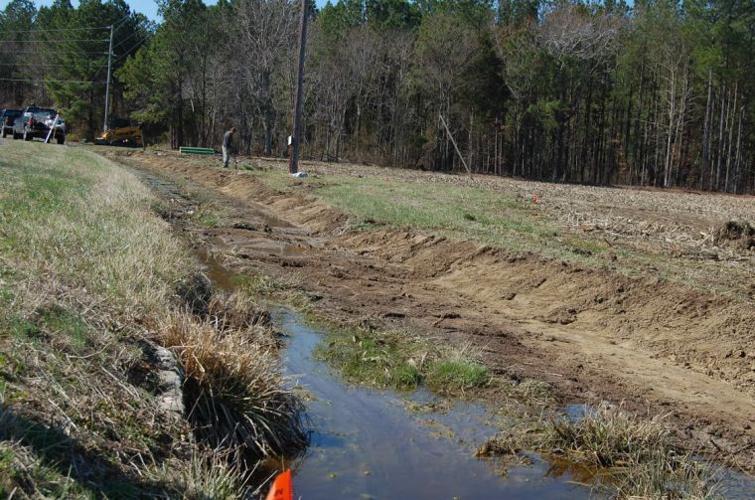 Pilot ditch project starts in Royal Oak | Environment | stardem.com
