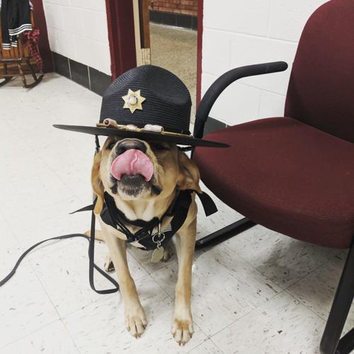 On the job and on the 'gram,' K9 Loki connects with the community IRL ...