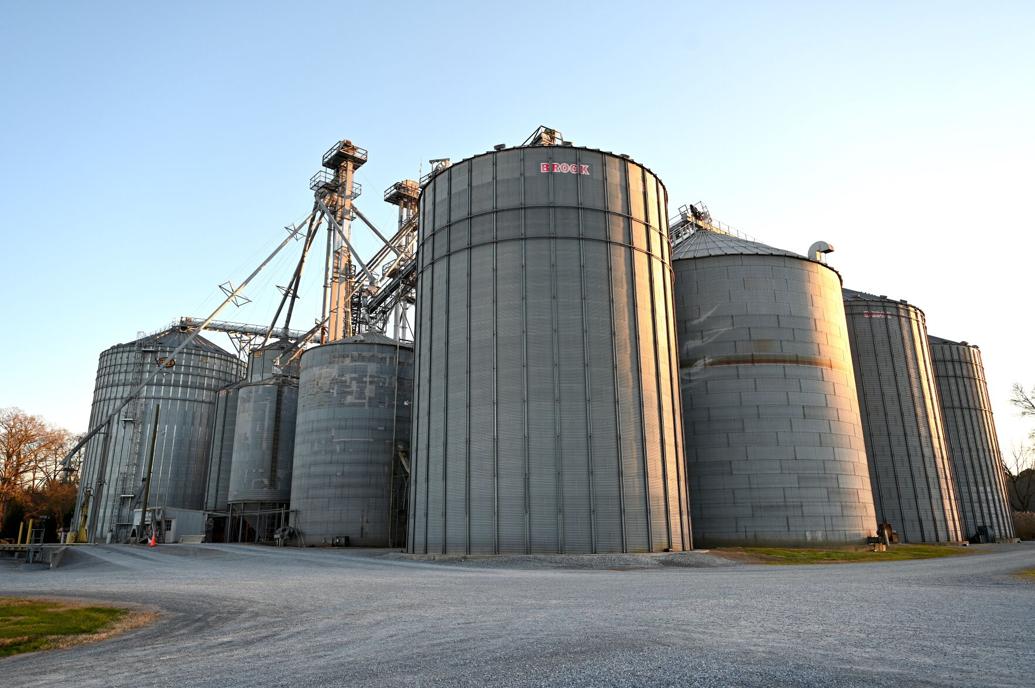 Montaire starts a new era of grain storage on the Shore | Local ...