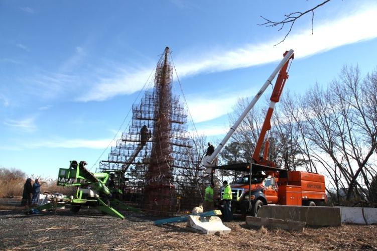 Tilghman tries for world record 'Christmas tree' | Local | stardem.com
