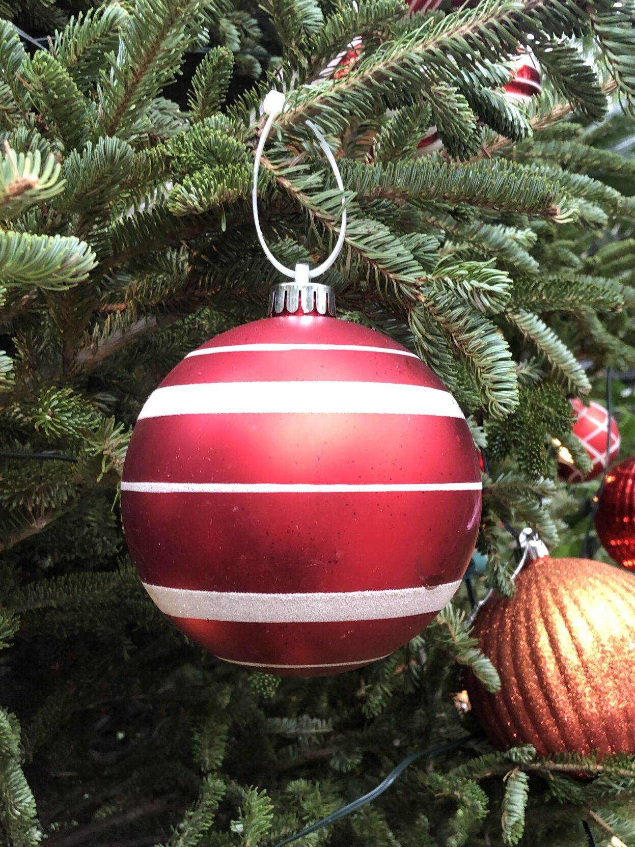 Holiday Potluck | Entertainment | stardem.com