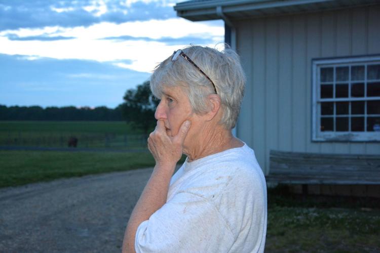 Wind knocks down Worthmore's show barn, horse paddock | Local | stardem.com