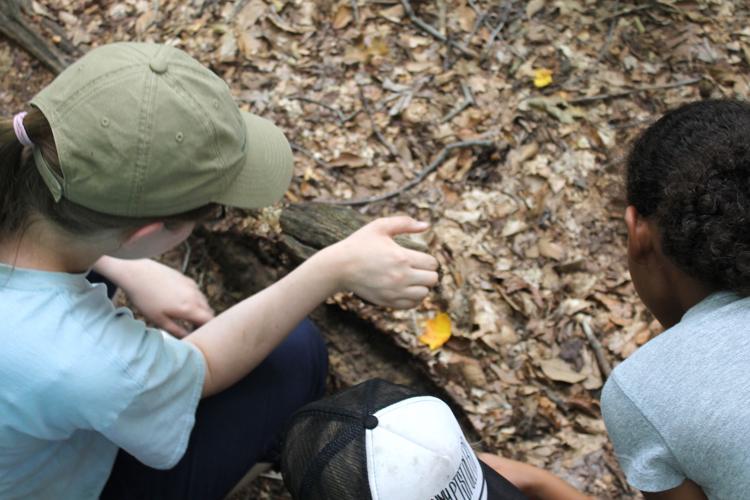 Program helps to foster lifelong conservationists | Life | stardem.com