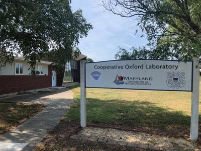 New exhibit to explore history of Oxford Laboratory | Events | stardem.com