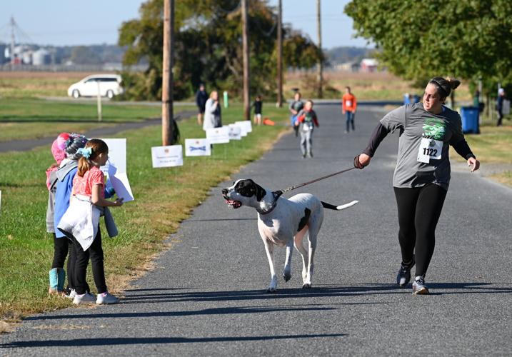 Humane Society hosts Howl-O-Ween 5K | Life | stardem.com