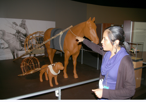 American Indian Museum hosts ‘Song for Horse Nation’ | Life | stardem.com