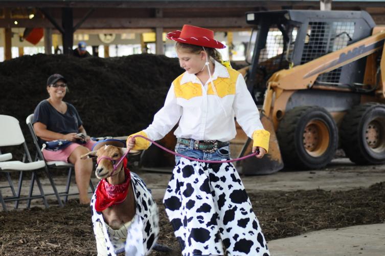 Children get creative in Pretty Animal Contest | Local | stardem.com