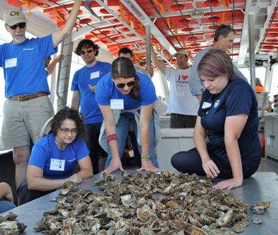 Bay foundation: DNR oyster limits 'halfhearted' | Local | stardem.com