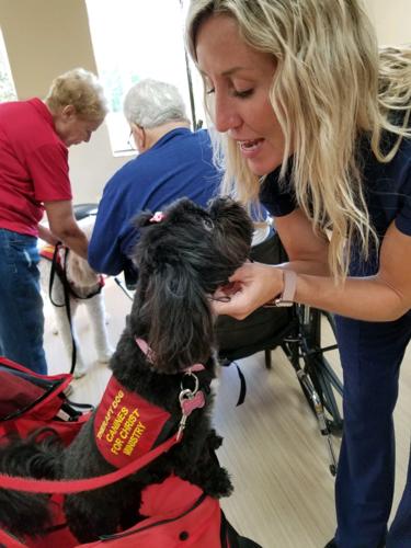 Canines for Christ spread joy, one dog at a time | Local | stardem.com