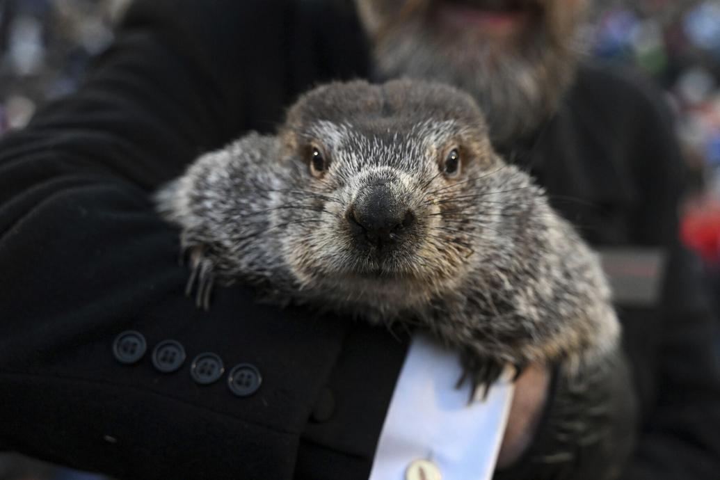Country Cooking: Recipes for Groundhog Day | Food | stardem.com