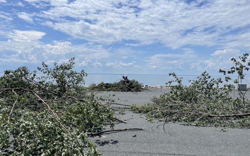 County clarifies Tilghman brush drop off rules | Local | stardem.com