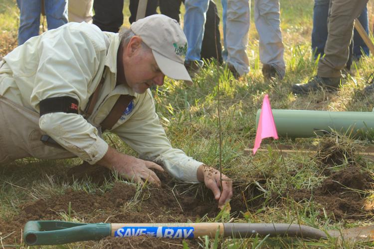 Chesapeake Bay Foundation partners with IBM on green jobs, digital ...