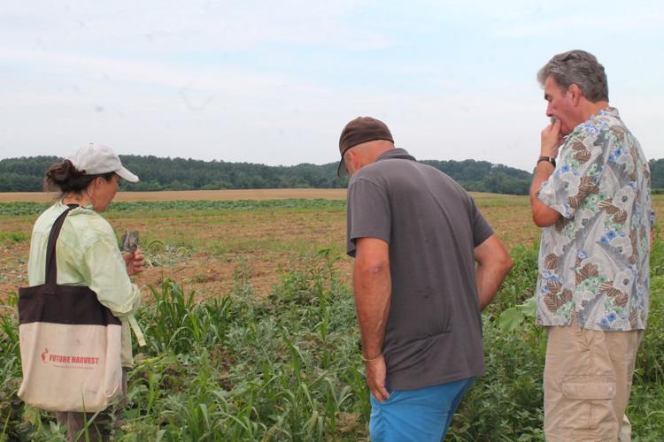 Colchester Farms connects people with their food through farm walk ...