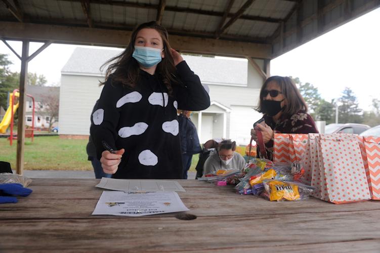 Pets on parade for Halloween | Life | stardem.com