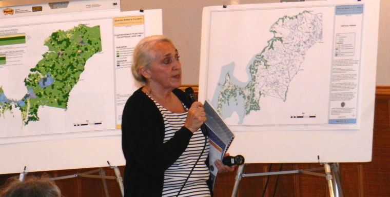 Town hall meeting addresses comprehensive plan | Local | stardem.com