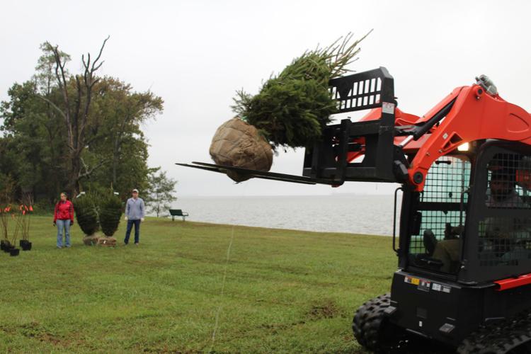 Volunteers prep Bay City tree plantings | Local | stardem.com