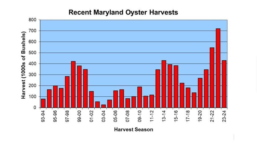 OPINION: Save Maryland's oyster sanctuaries | Columns | stardem.com