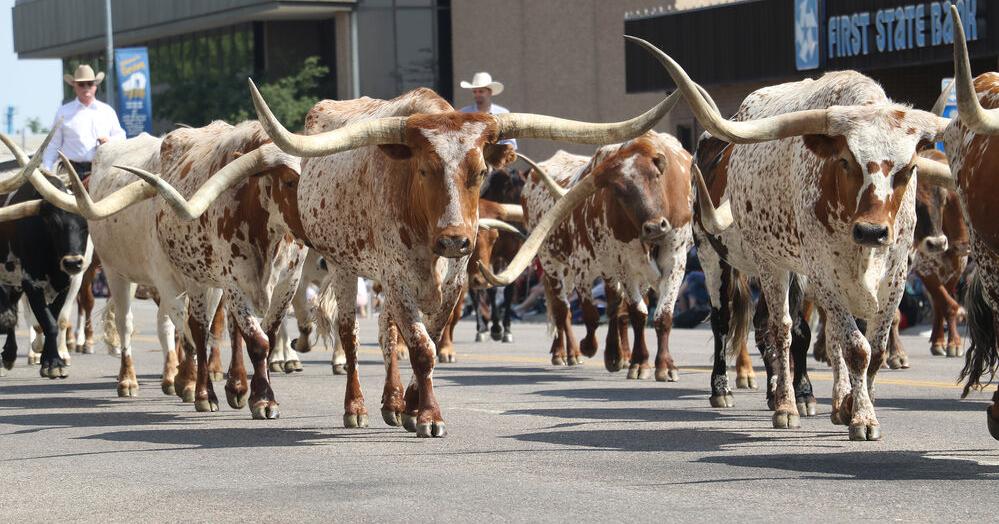 Oregon Trail Days parade, celebration makes comeback