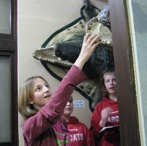 Students learn about animals, their environments at museum