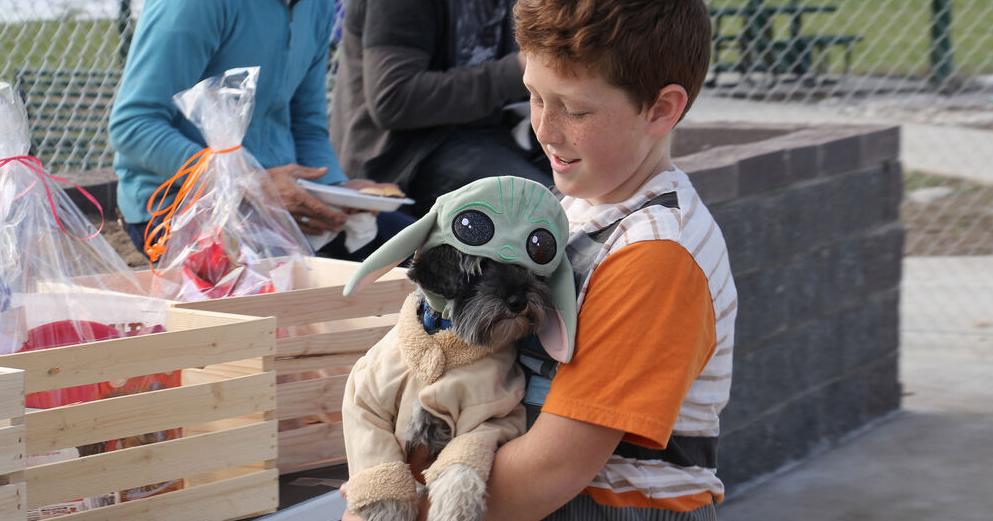 Mitchell dog park opens for the public