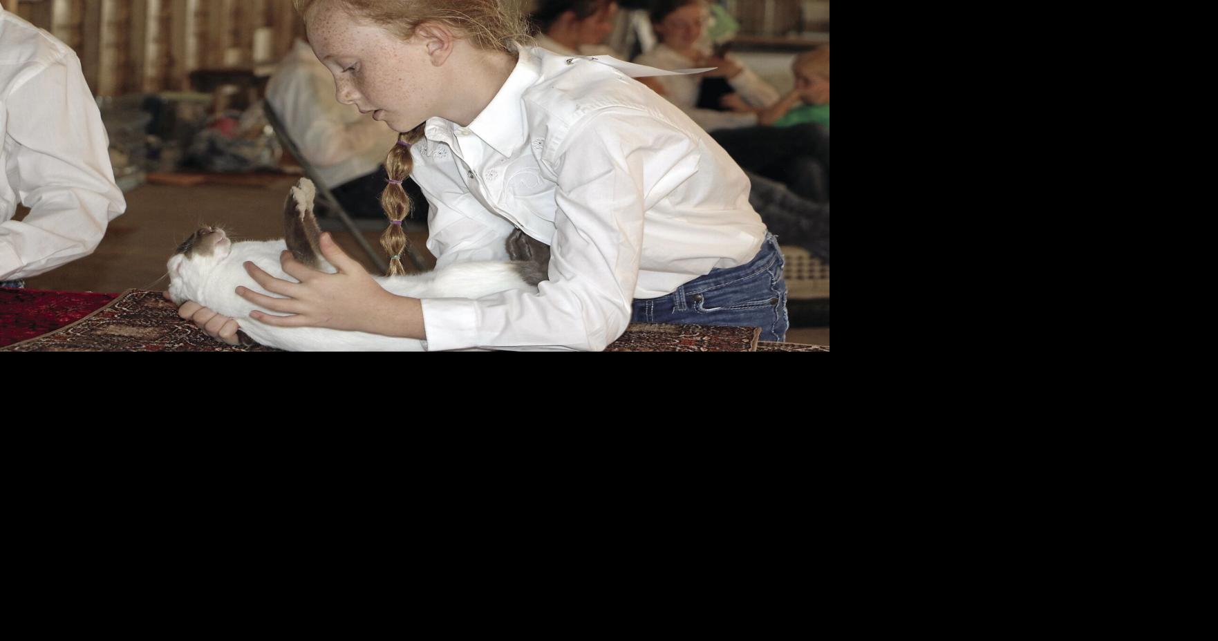 Showmanship tests 4-H’ers expertise in rabbit competition