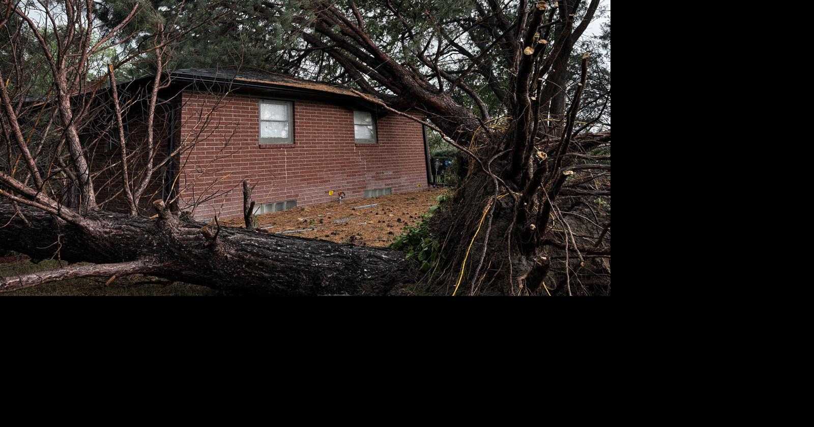 Scottsbluff outlines information for storm cleanup