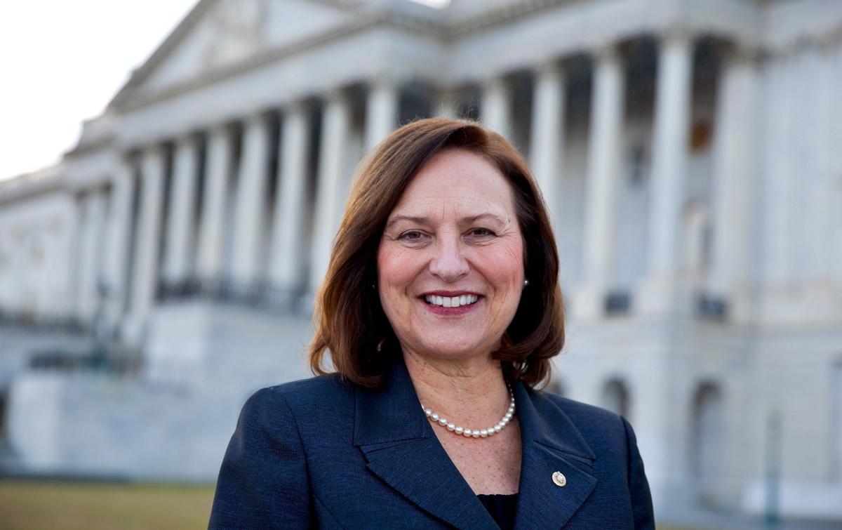 Deb Fischer enters election year with $2.4 million; challenger Jane ...