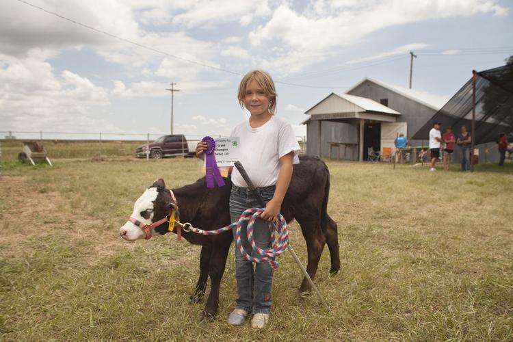 Clover Kids offers children their first 4-H experience