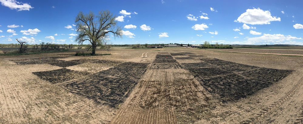 SAREC experiments with biochar