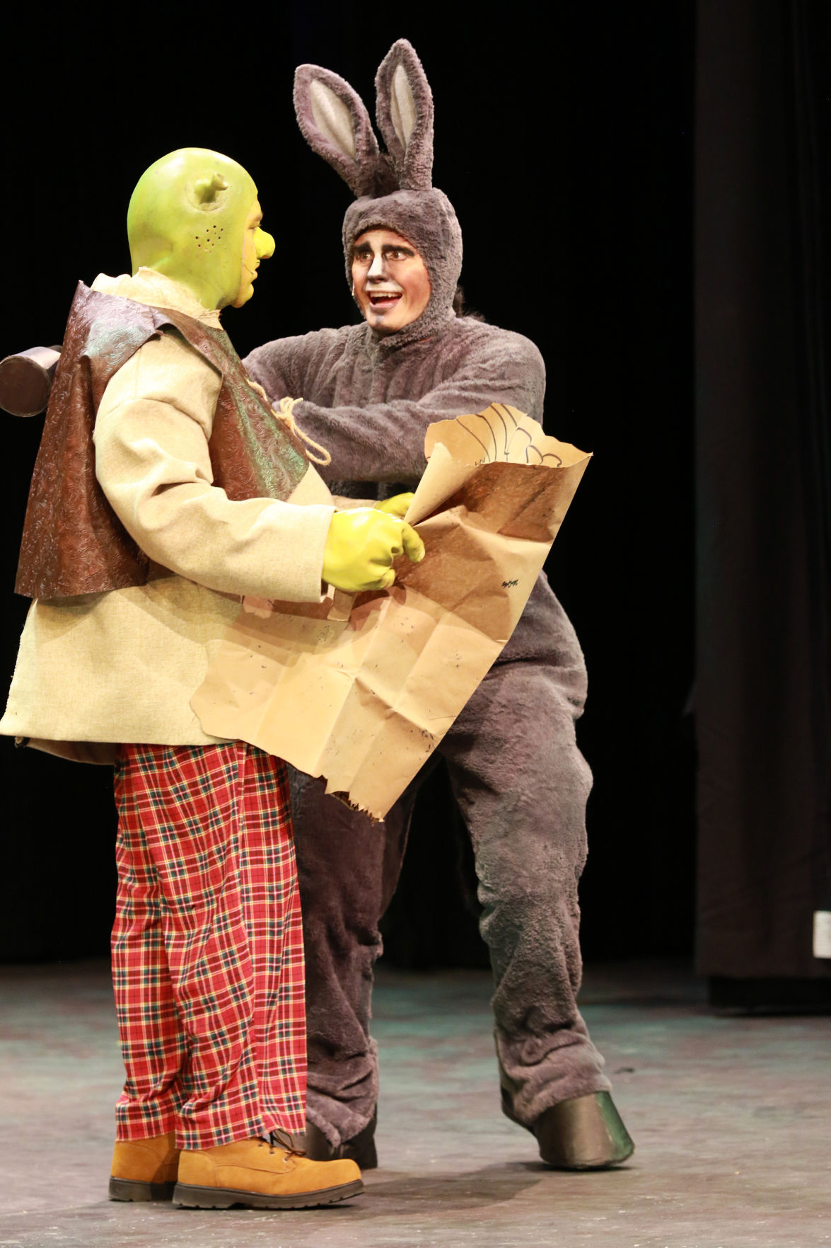 Ogre-whelming journey: Shrek journeys to reclaim swamp, finds love ...