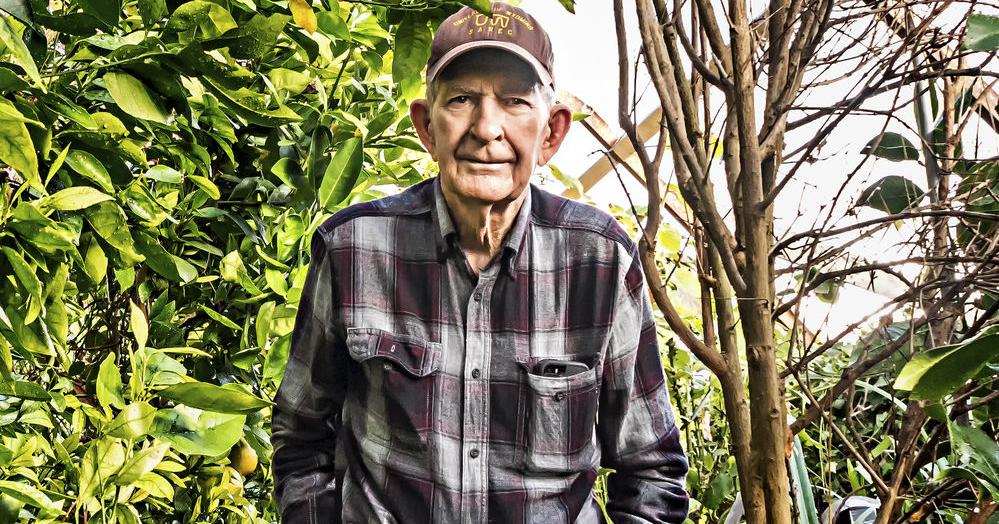 Greenhouse guru: Russ Finch has been raising citrus fruits in Alliance ...
