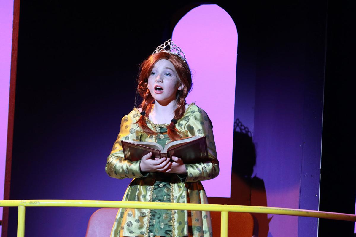 Ogre-whelming journey: Shrek journeys to reclaim swamp, finds love ...