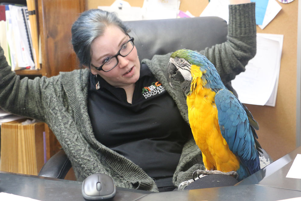 Squawking good time: Meet Otis, the blue-and-yellow Macaw, at Riverside Zoo