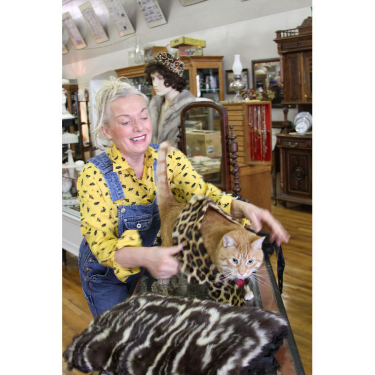 Vintage fur display to benefit local animals