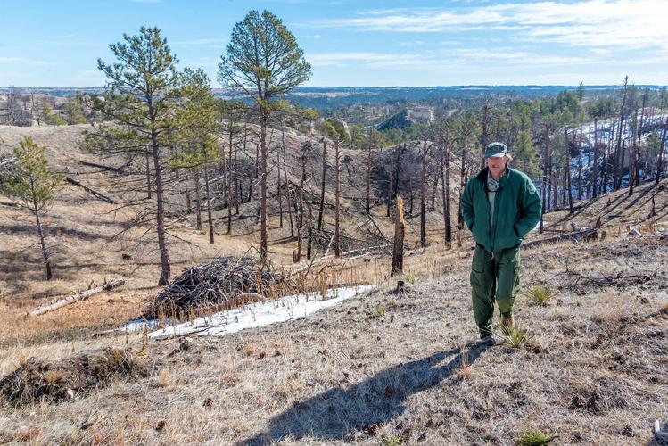 Visiting a unique treasure — Nebraska's National Forest