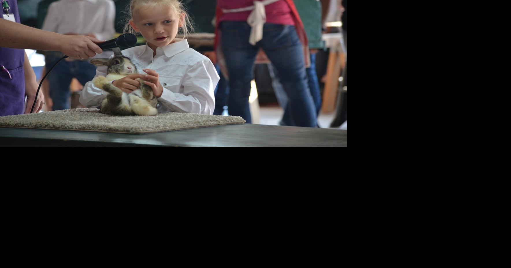 PHOTOS: Rabbit Showmanship Scotts Bluff County Fair 2018