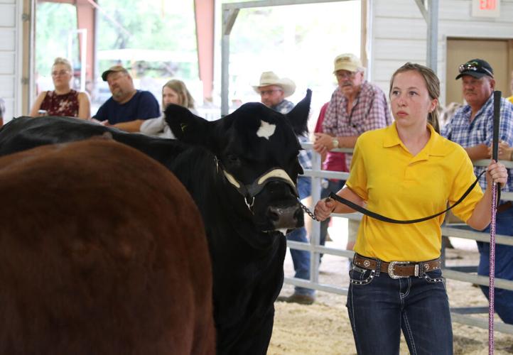 Scotts Bluff County Fair FFA results