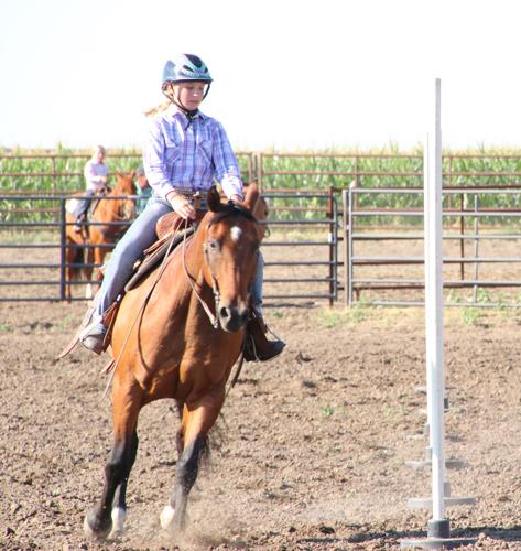 Open Horse Show kicks off Fair