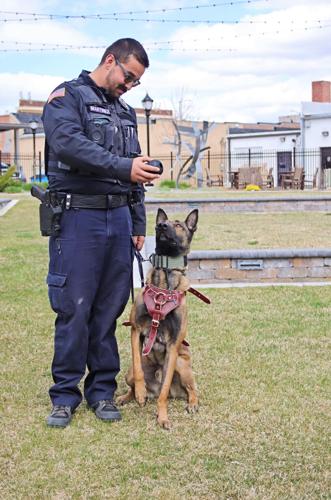 Partners in fighting crime: Gering Police officer, K9 near one year ...