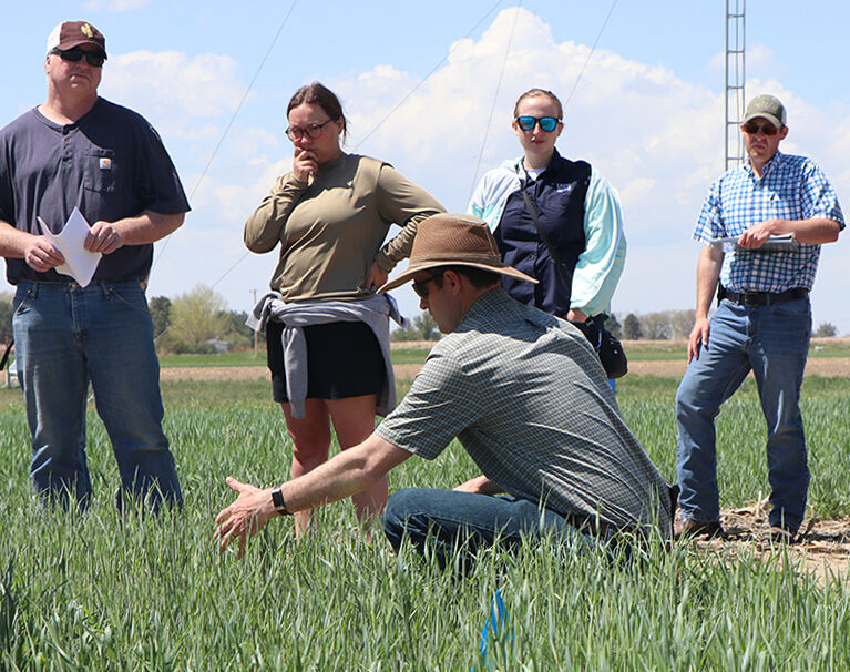 Cover Crop Initiative Project has first Field Day in western Nebraska