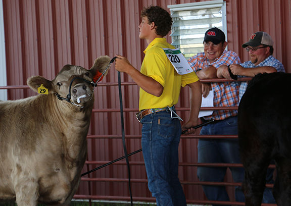 Beef show main attraction at Morrill County fair