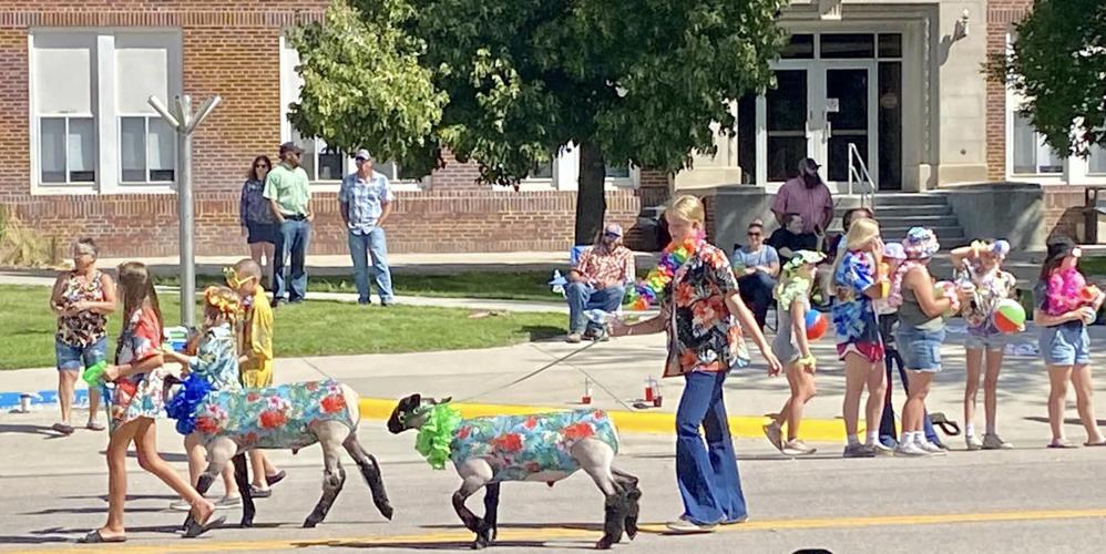 Box Butte County Fair Wrap-up