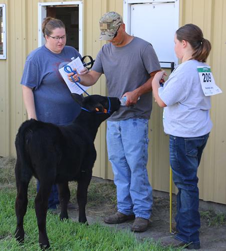 Beef show main attraction at Morrill County fair