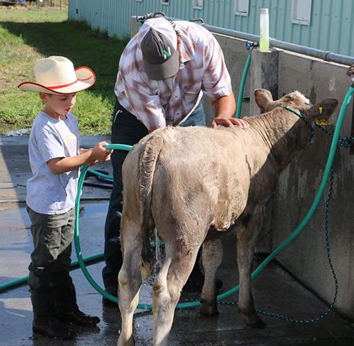 Beef show main attraction at Morrill County fair