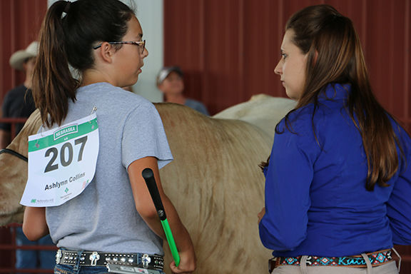 Beef show main attraction at Morrill County fair