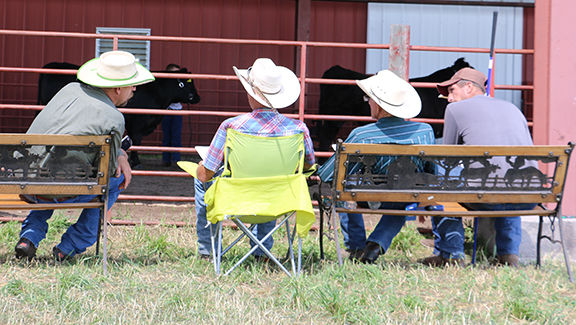 Beef show main attraction at Morrill County fair