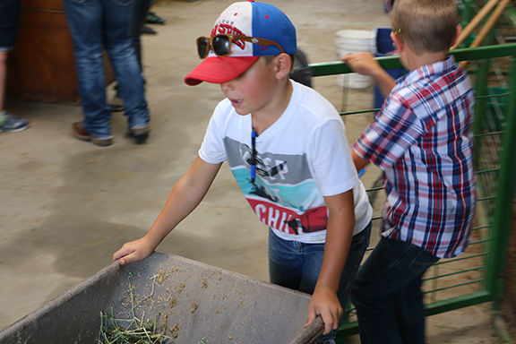 Beef show main attraction at Morrill County fair