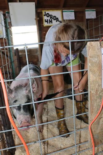 Beef show main attraction at Morrill County fair