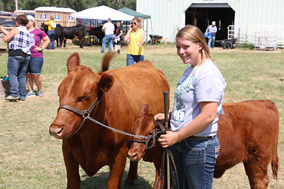 Beef show main attraction at Morrill County fair