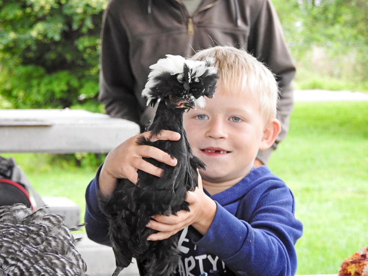 ‘We’re Chicken People’: Kids work really hard showing different breeds ...